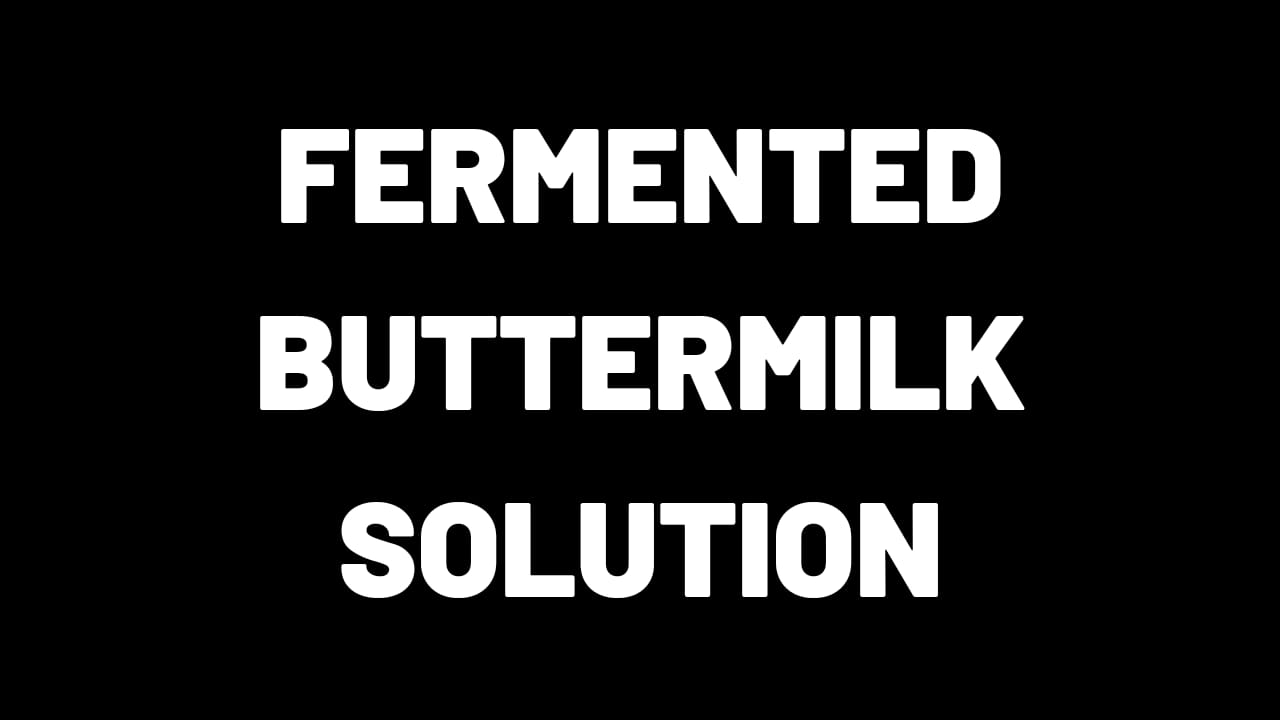 Fermented Buttermilk solution - Helpfarming