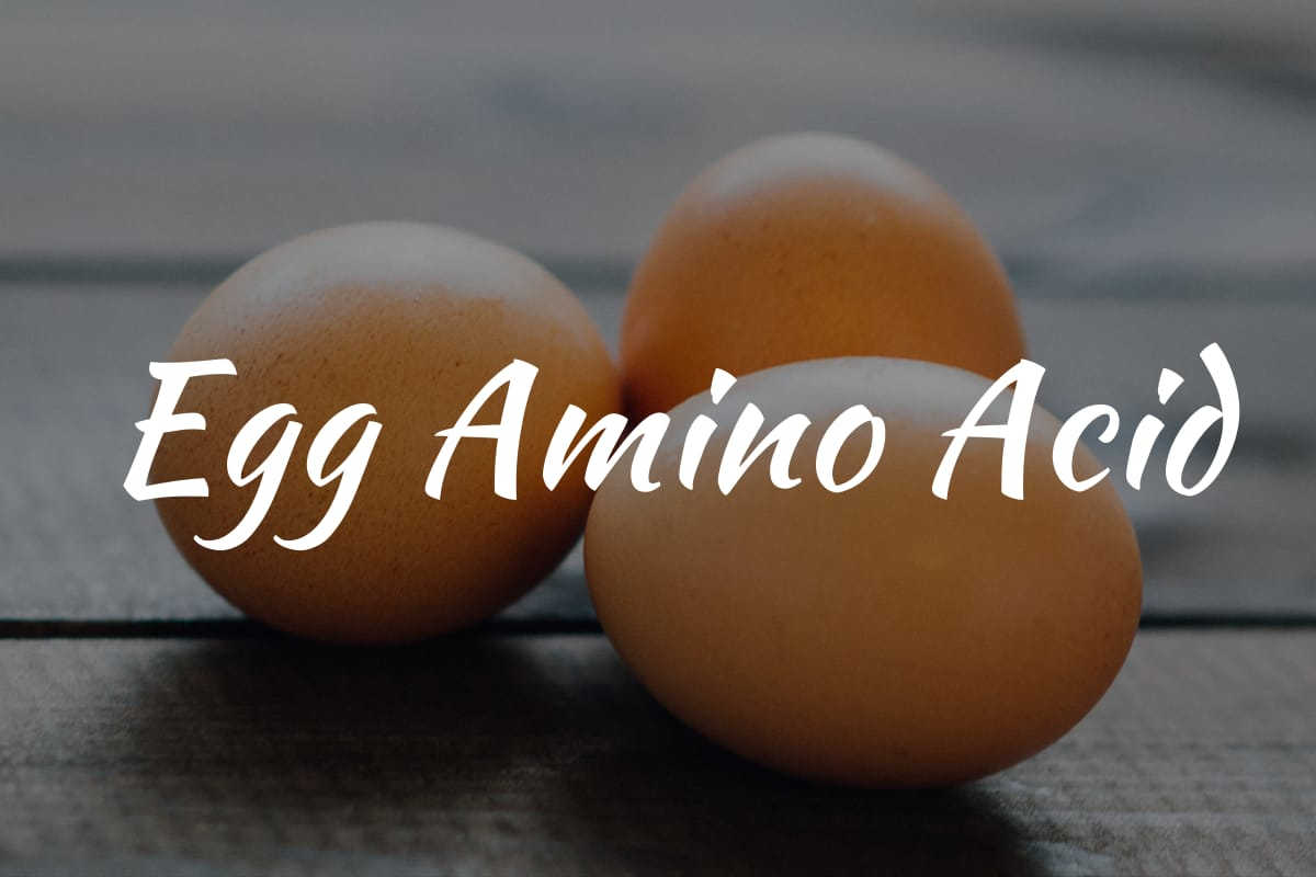 Egg Amino Acid - Helpfarming